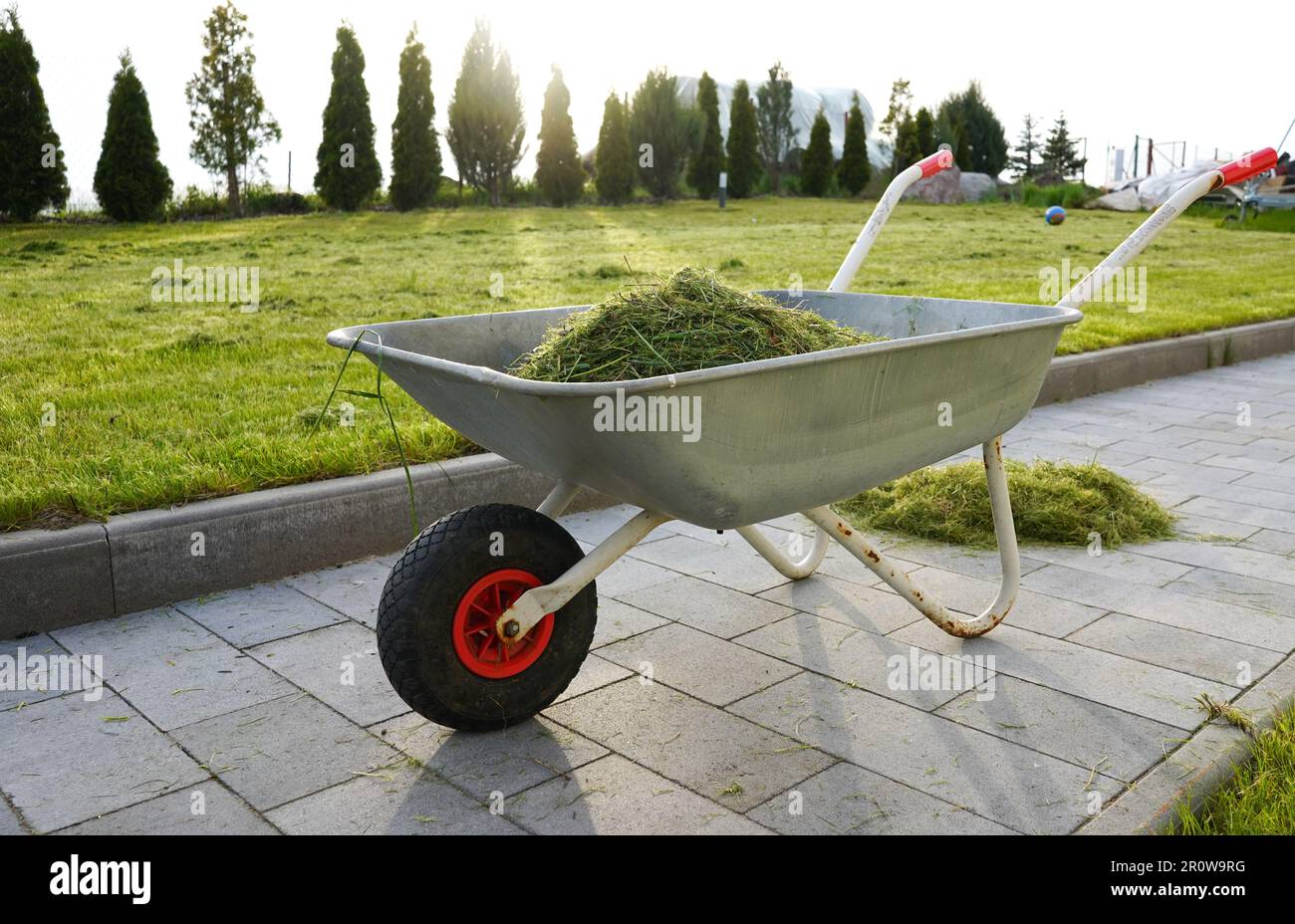 A wheelbarrow full of grass used to transport the grass. Wheelbarrow in ...