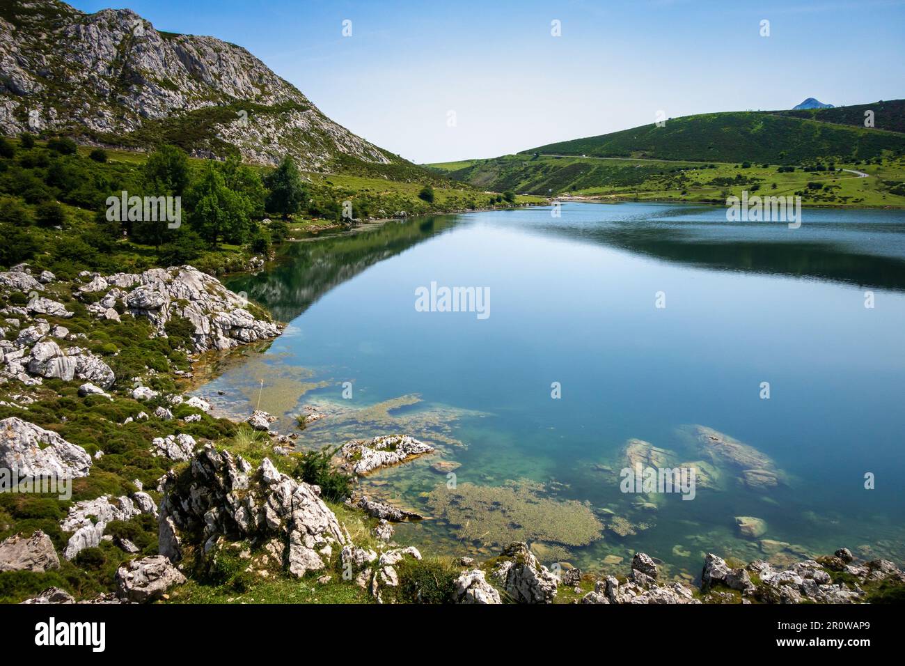 Lake Enol in Covadonga, Picos de Europa, Asturias, Spain Stock Photo ...