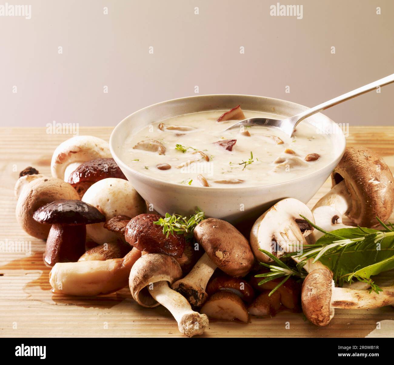 Cream of cep soup Stock Photo - Alamy