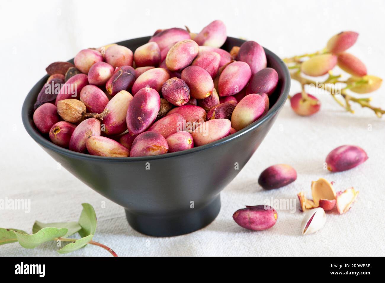 Pistachio twig hi-res stock photography and images - Alamy