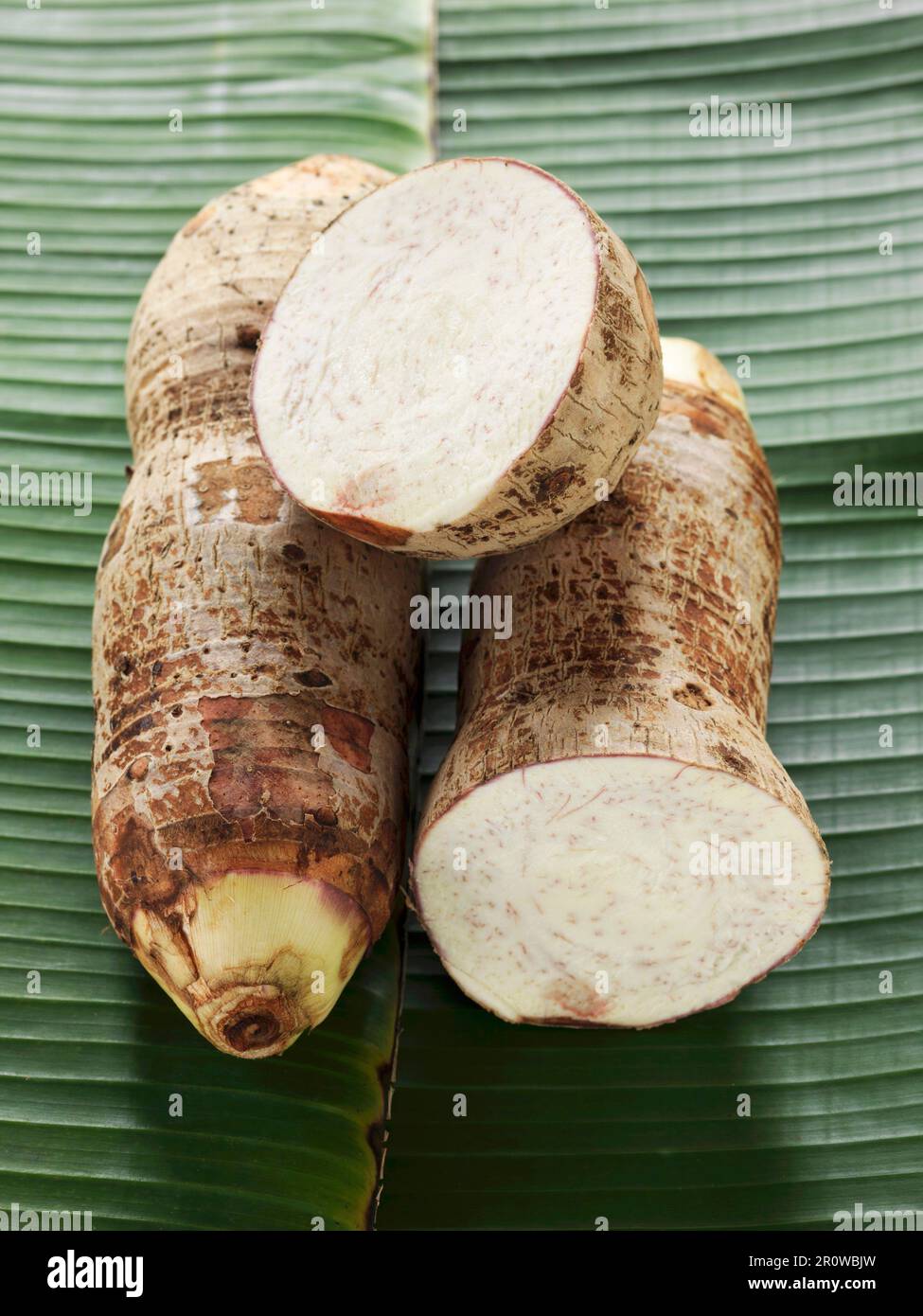 Taros hi-res stock photography and images - Alamy