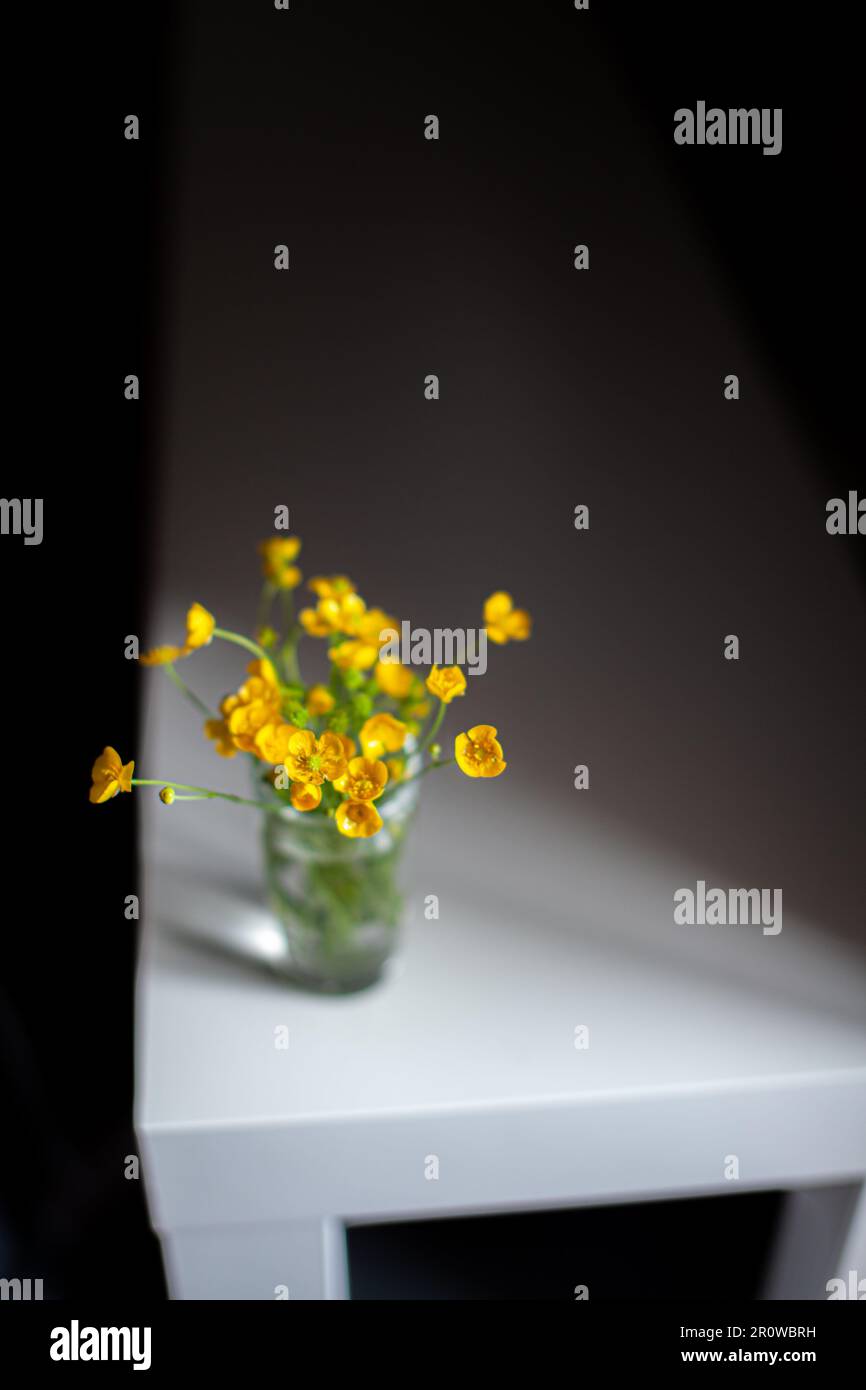 Composition of bright yellow wild flowers in a glass beaker on a white ...