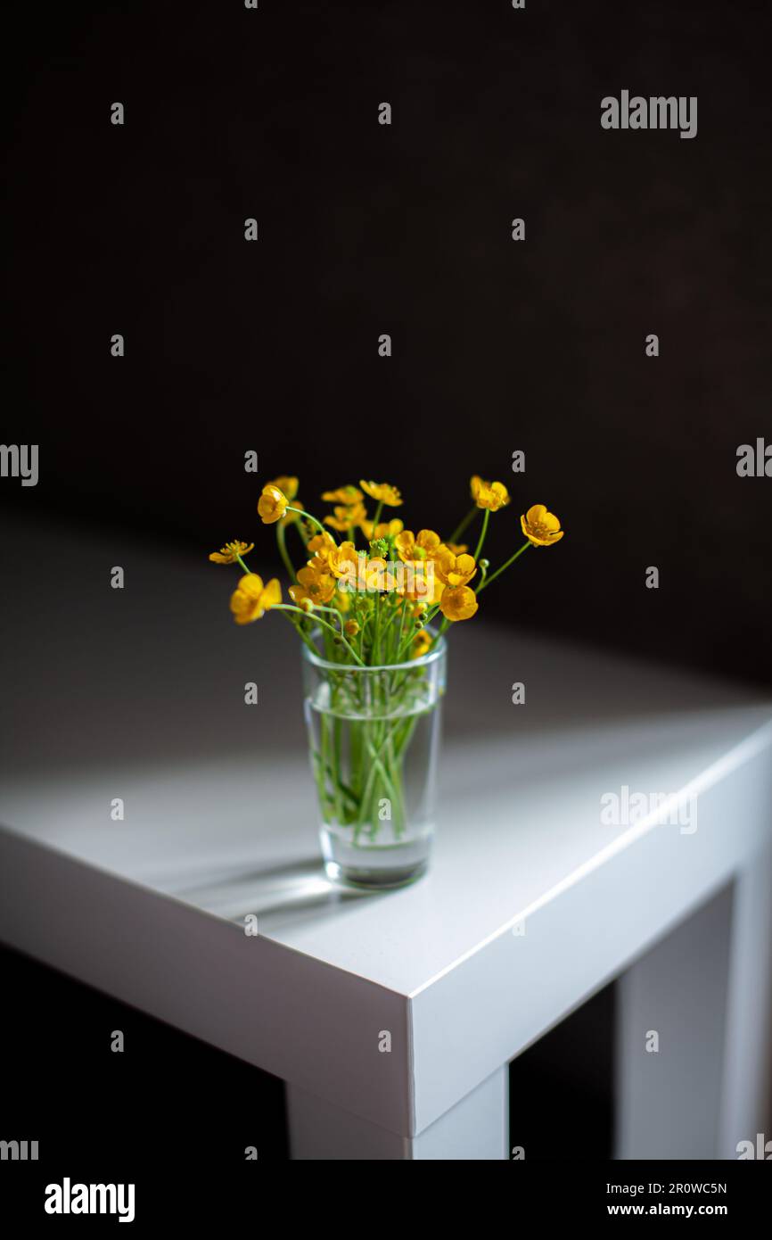 Composition of bright yellow wild flowers in a glass beaker on a white ...