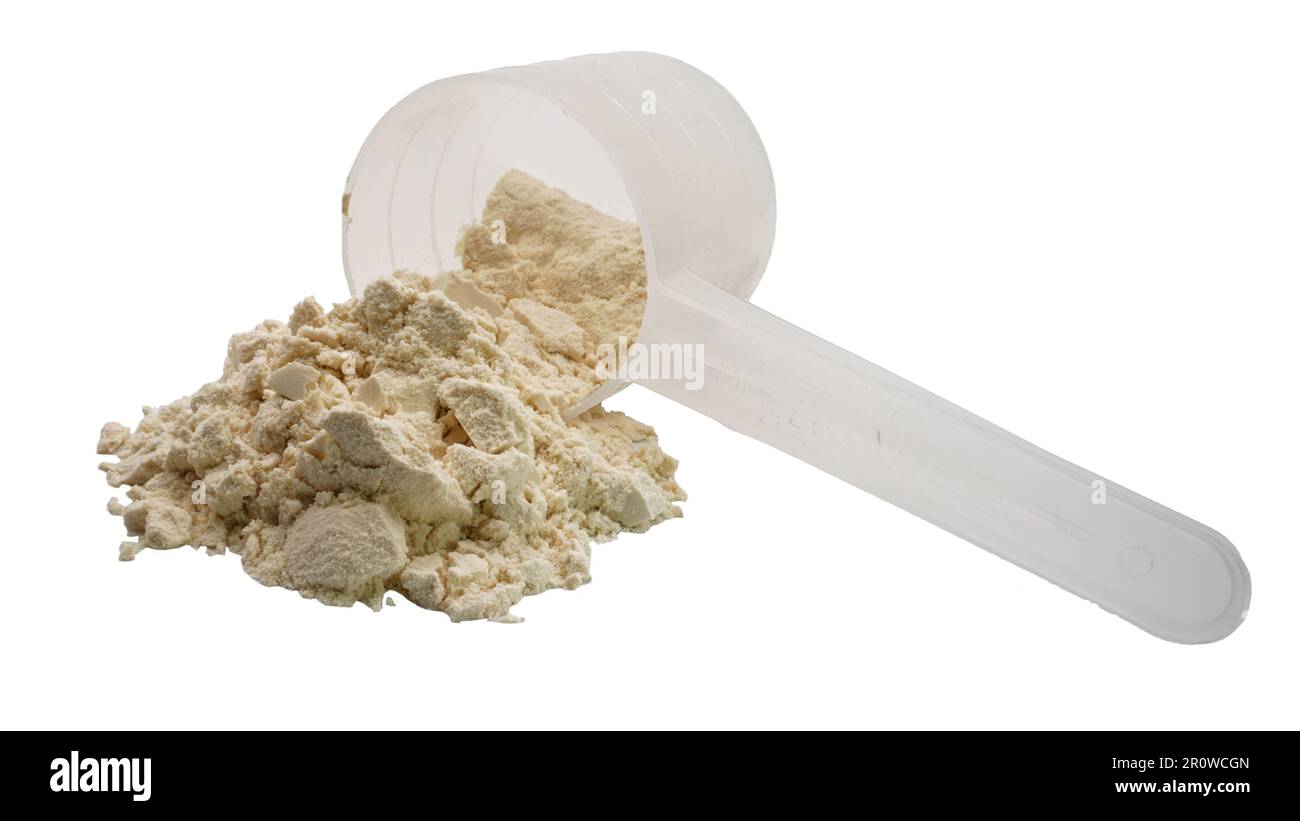 Whey protein powder in a measuring spoon isolated on white background ...
