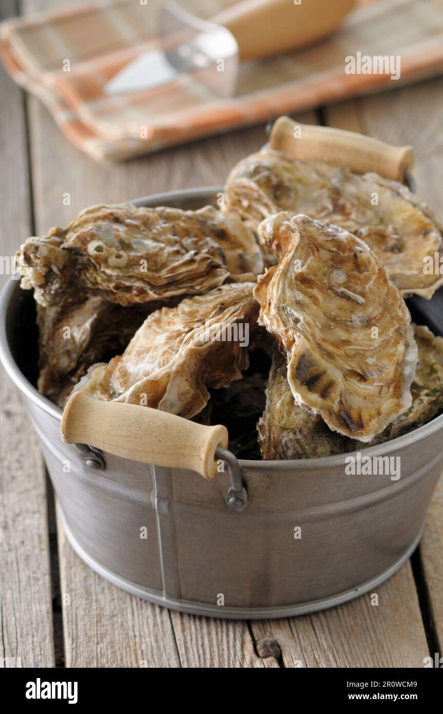 Bucket of oysters Stock Photo - Alamy
