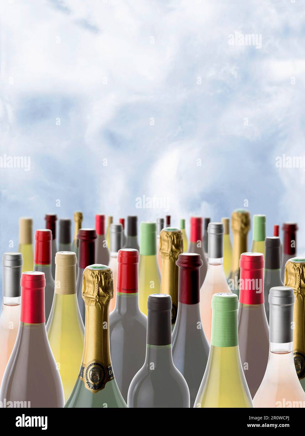 Bottles of wine on a sky background Stock Photo - Alamy