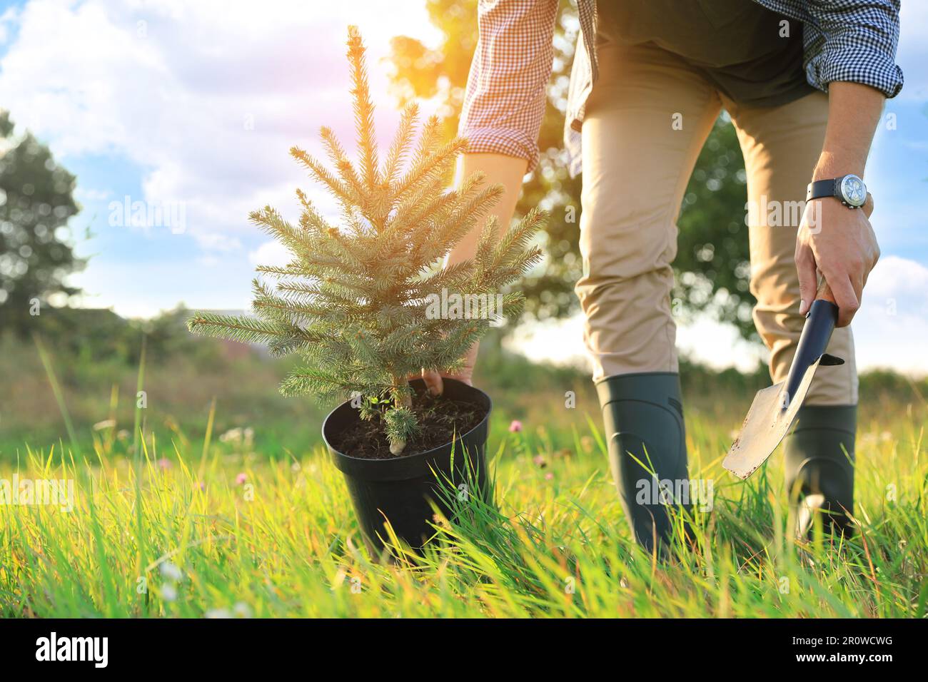 Tree sapling and shovel hi-res stock photography and images - Alamy