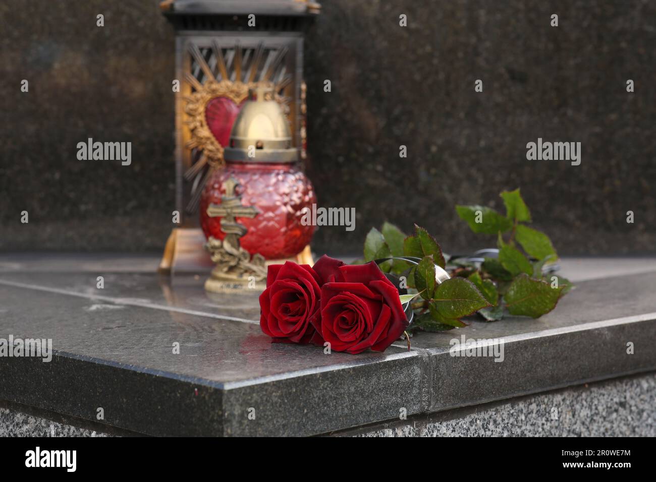 Red roses and grave light on grey granite tombstone outdoors, space for text. Funeral ceremony ...