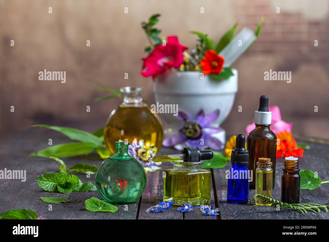Different medicinal plants herbs hi-res stock photography and images ...