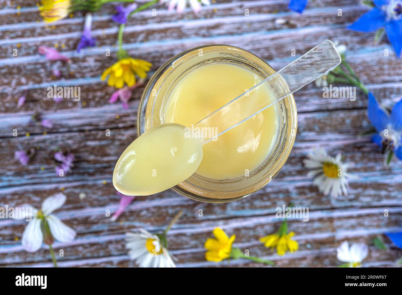 A jar of royal jelly Stock Photo - Alamy