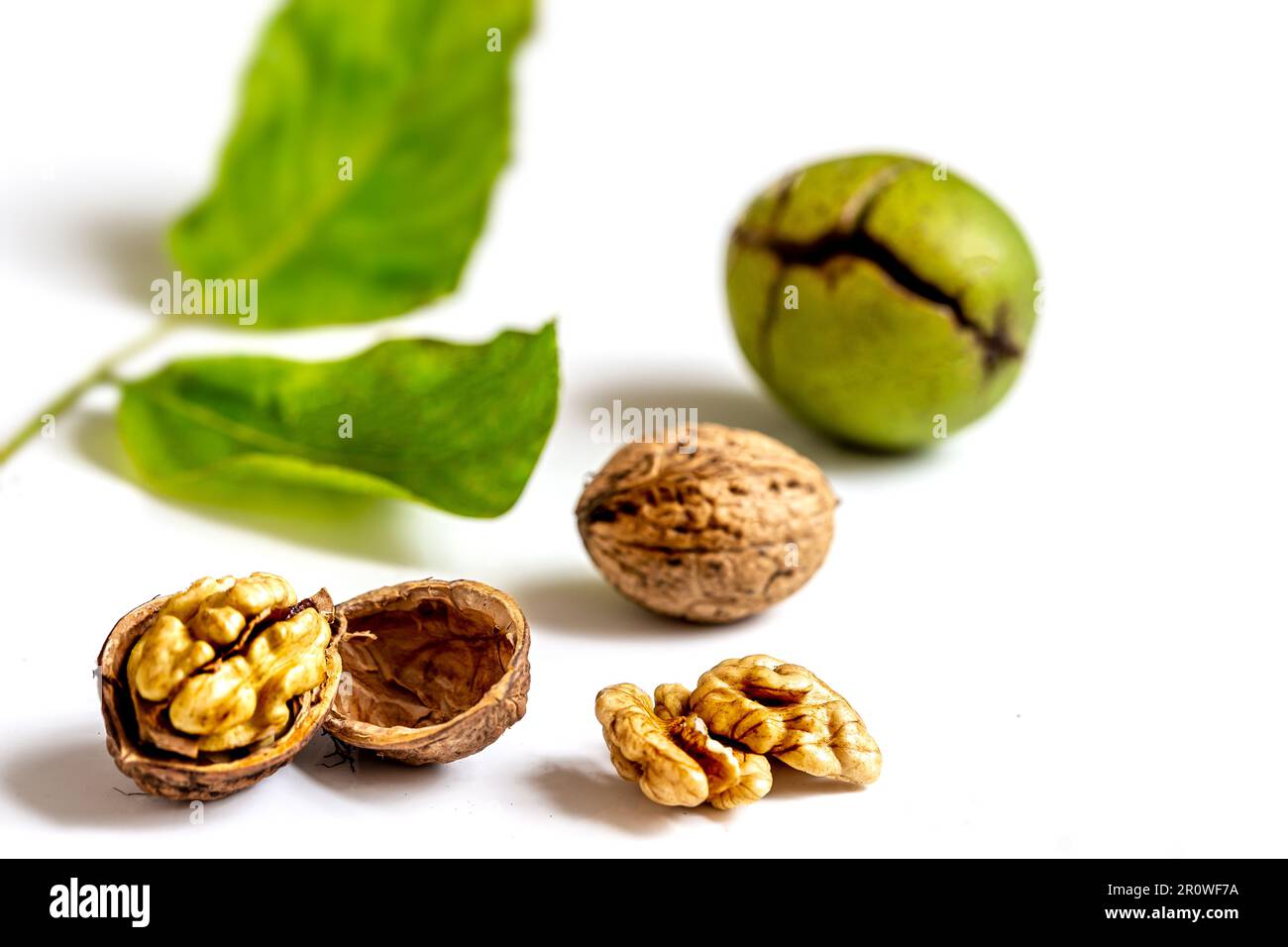 Walnut in shell, whole and opened Stock Photo - Alamy