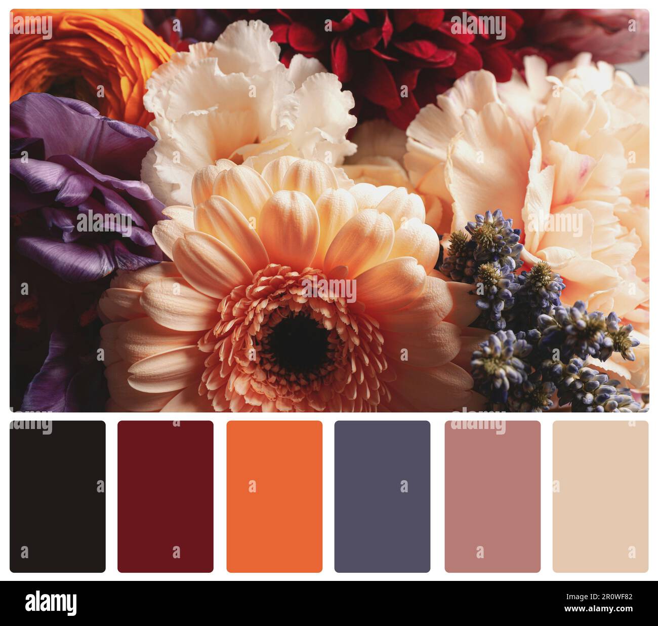 Beautiful fresh flowers and color palette. Collage Stock Photo - Alamy