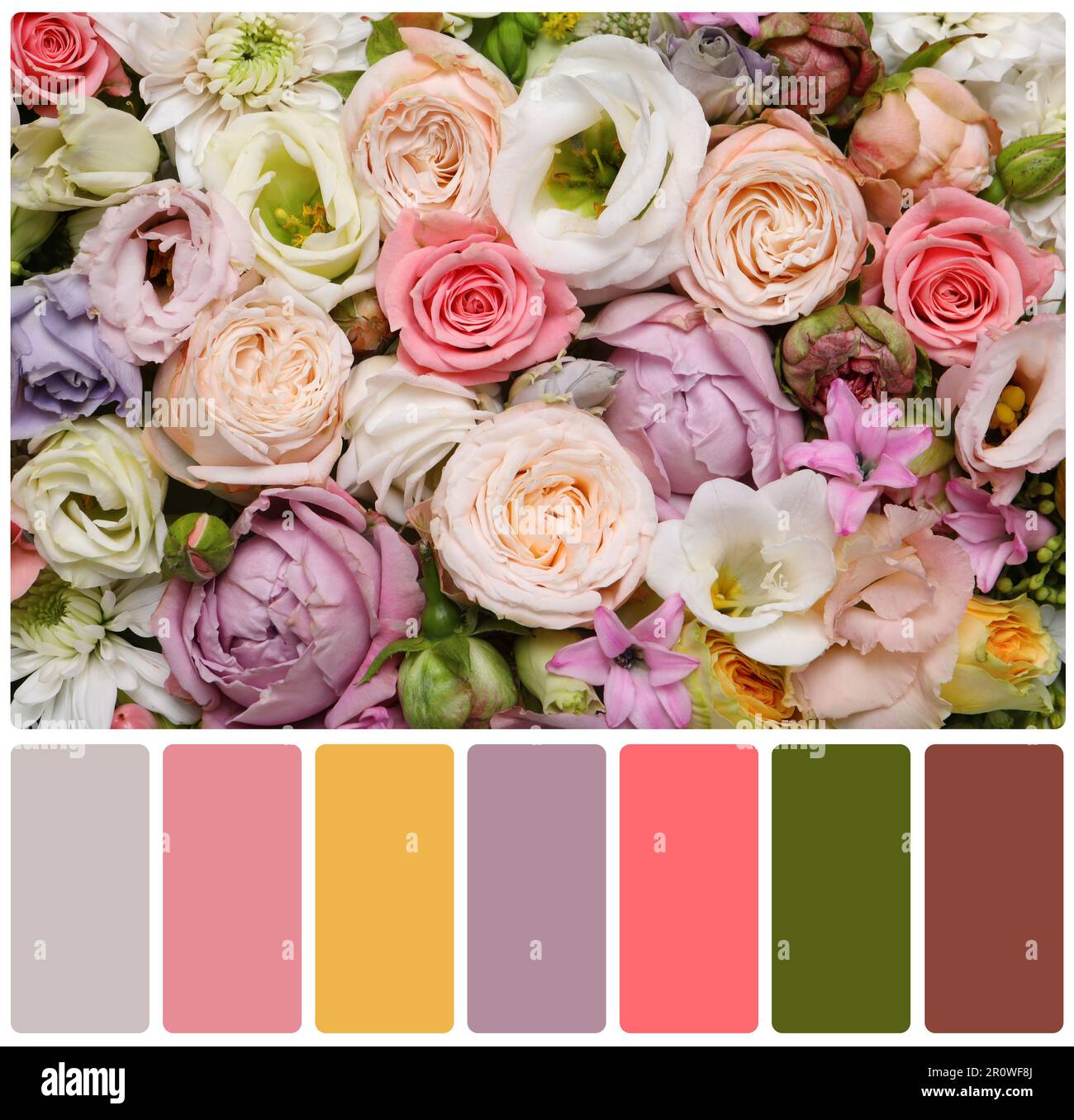 Color Palette Collage Maker at Jaclyn Dotson blog
