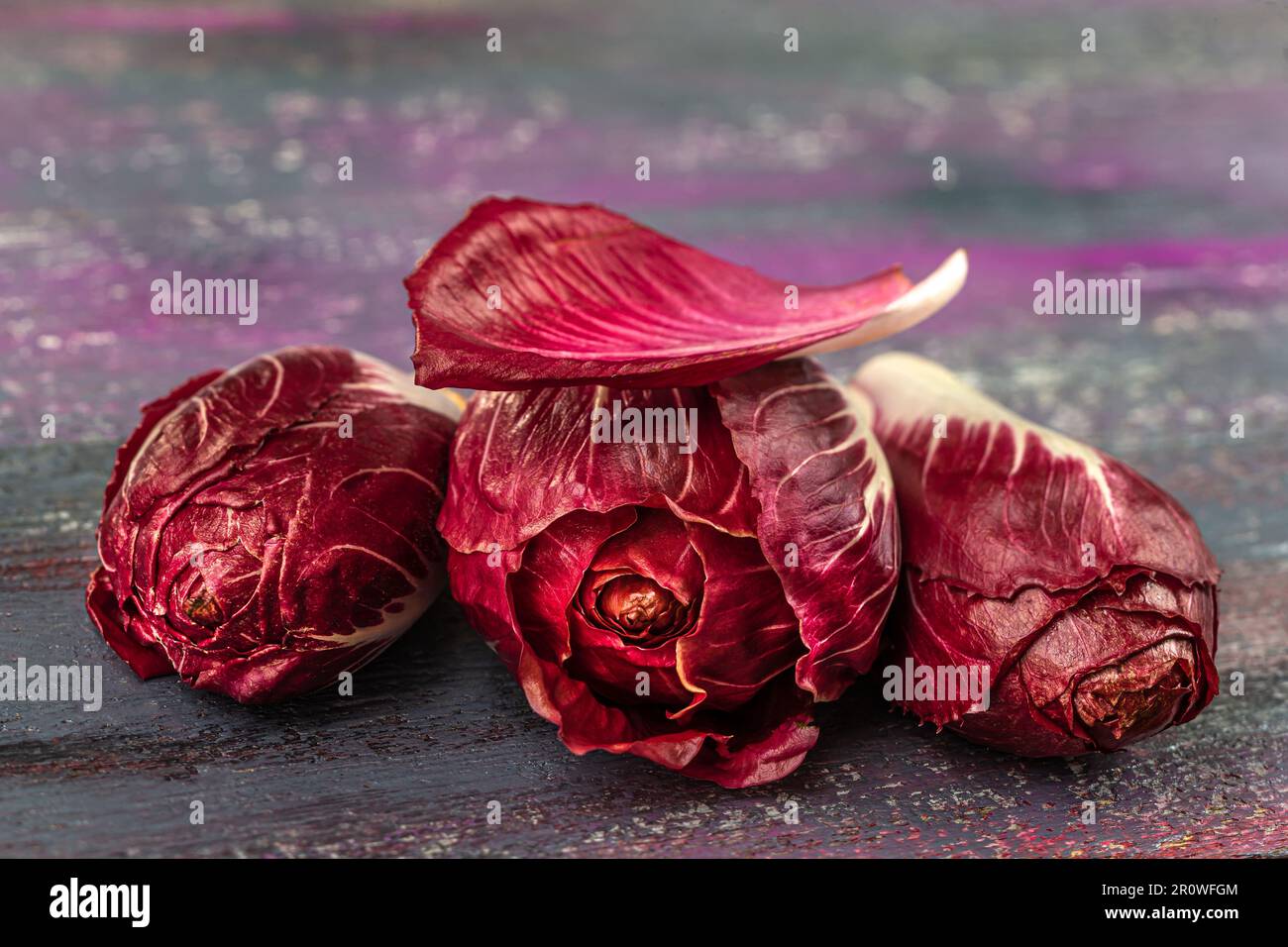 One fresh red chicory hi-res stock photography and images - Alamy