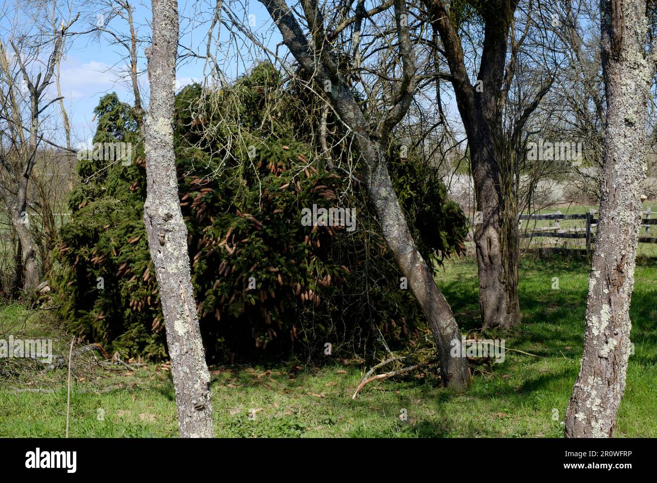 Gale force wind hi-res stock photography and images - Alamy