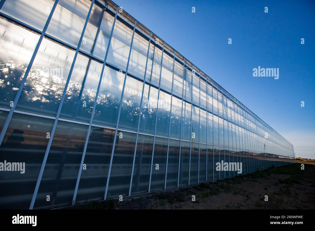 Greenhouse glass wall in perspective view. Clear blue sky Stock Photo ...
