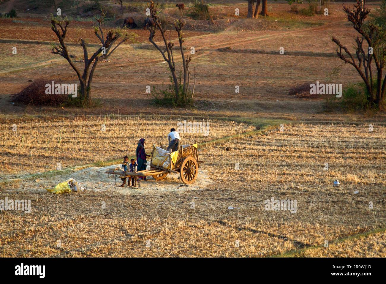 Cropping or crofting agriculture in India. Small private fields ...