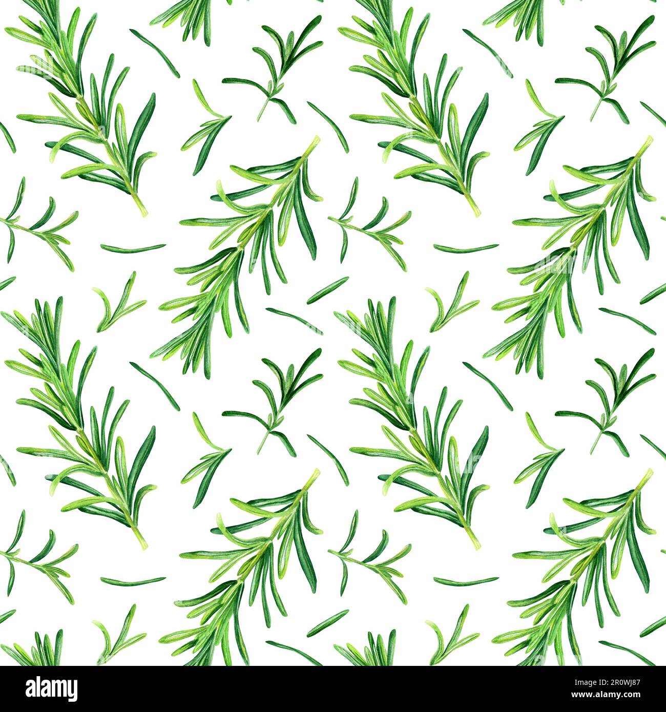 Watercolor seamless pattern with rosemary herb. Botanical illustration ...
