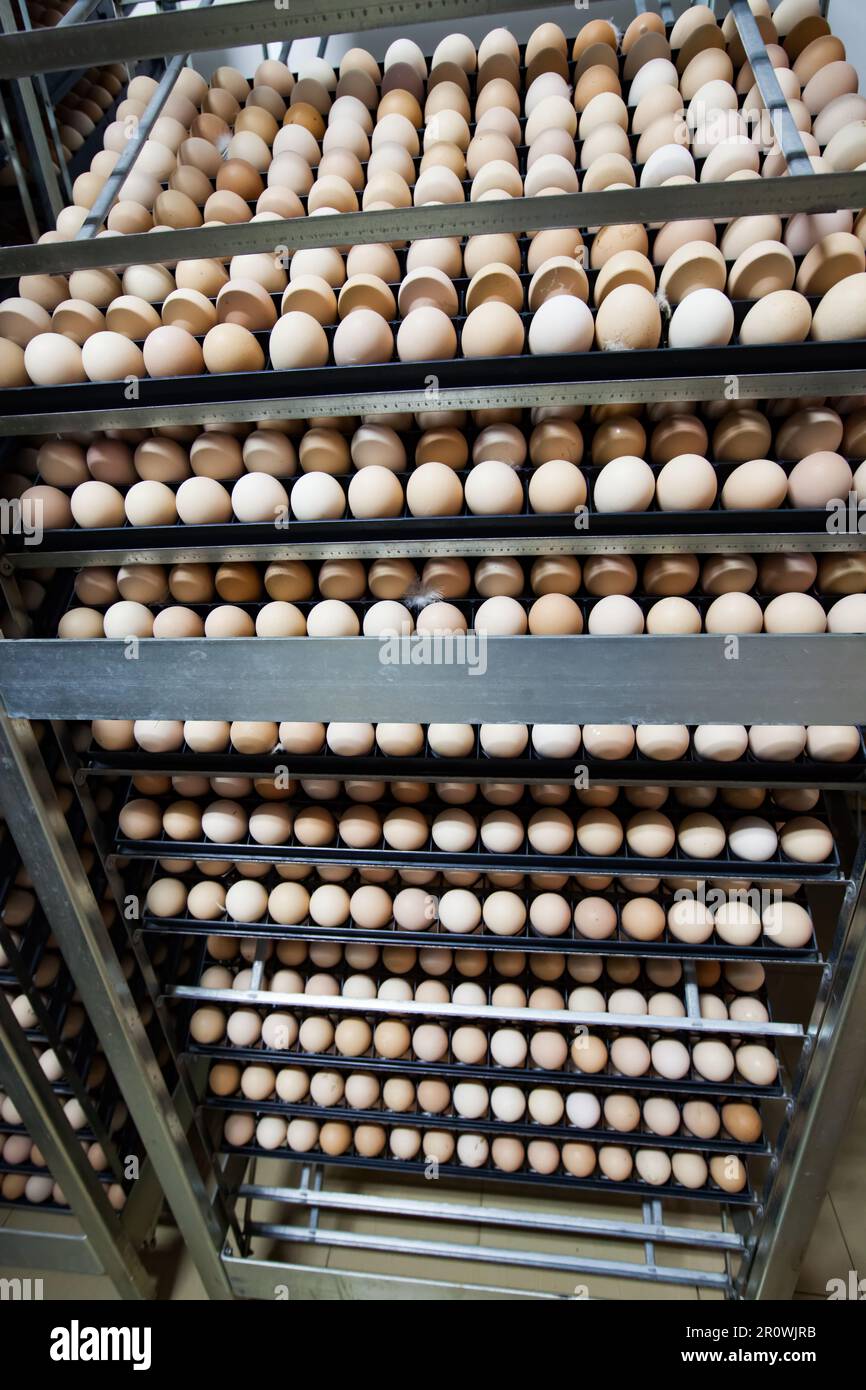 Egg rack storage hi-res stock photography and images - Alamy