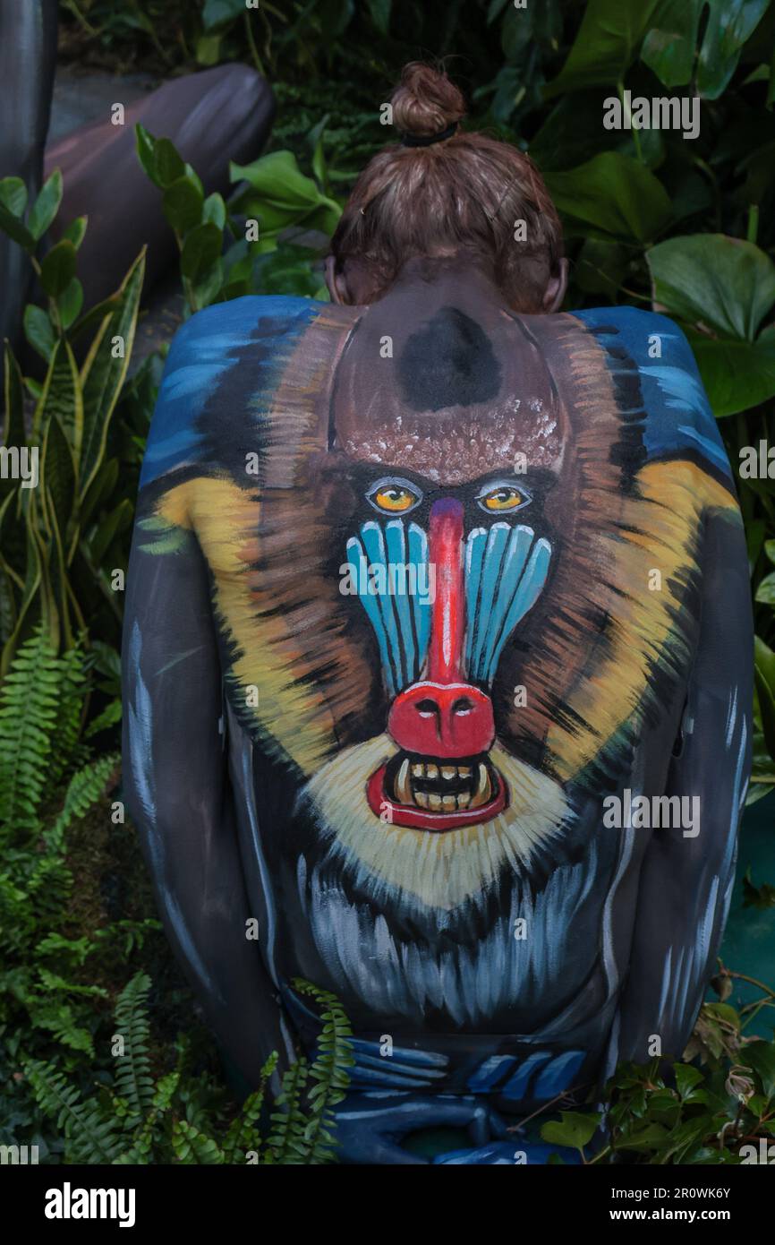 London, UK. 10th May, 2023. One of the models of the body painter ...