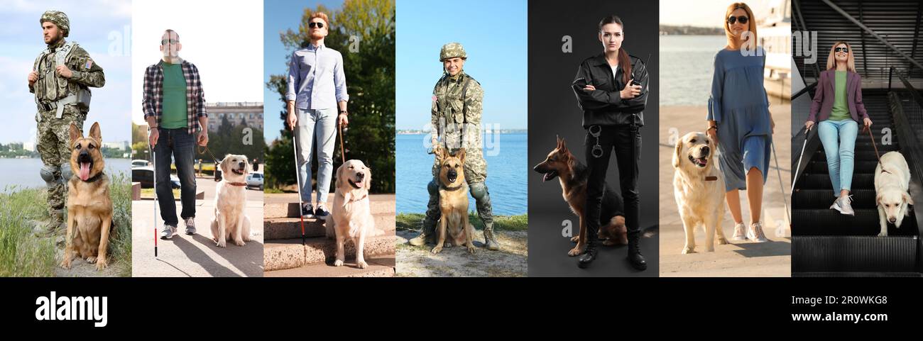 Collage with photos of people with service dogs, banner design Stock ...