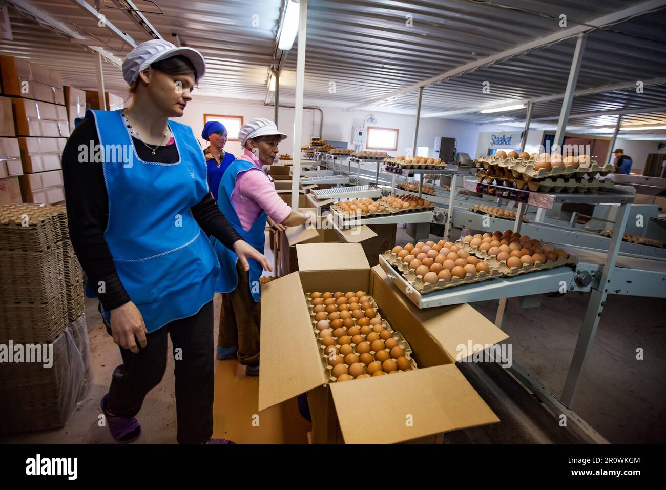 Egg packing machine hi-res stock photography and images - Alamy