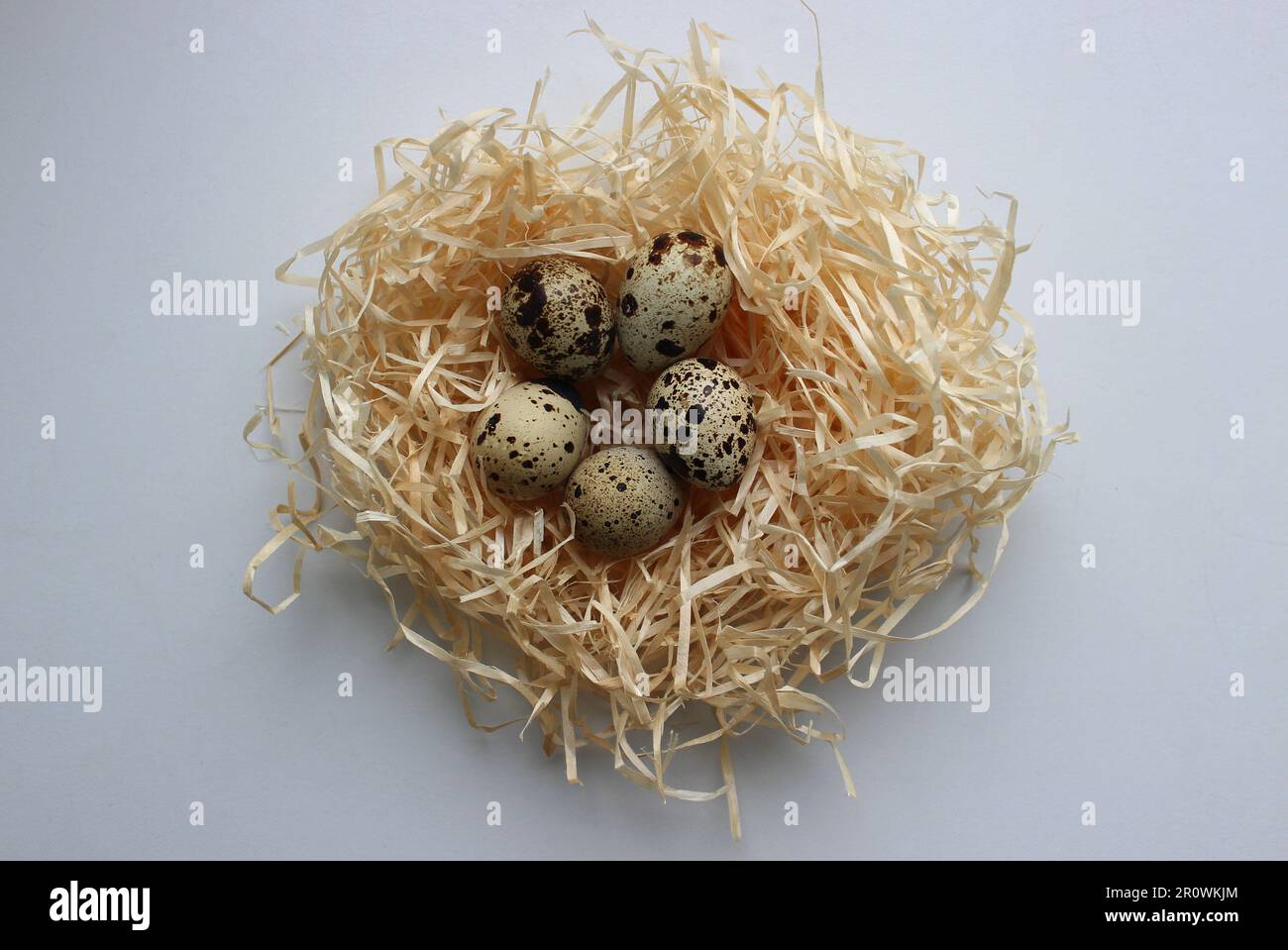 Five Spotted Eggs In A Hay Nest On A White Surface Top View Stock Photo ...