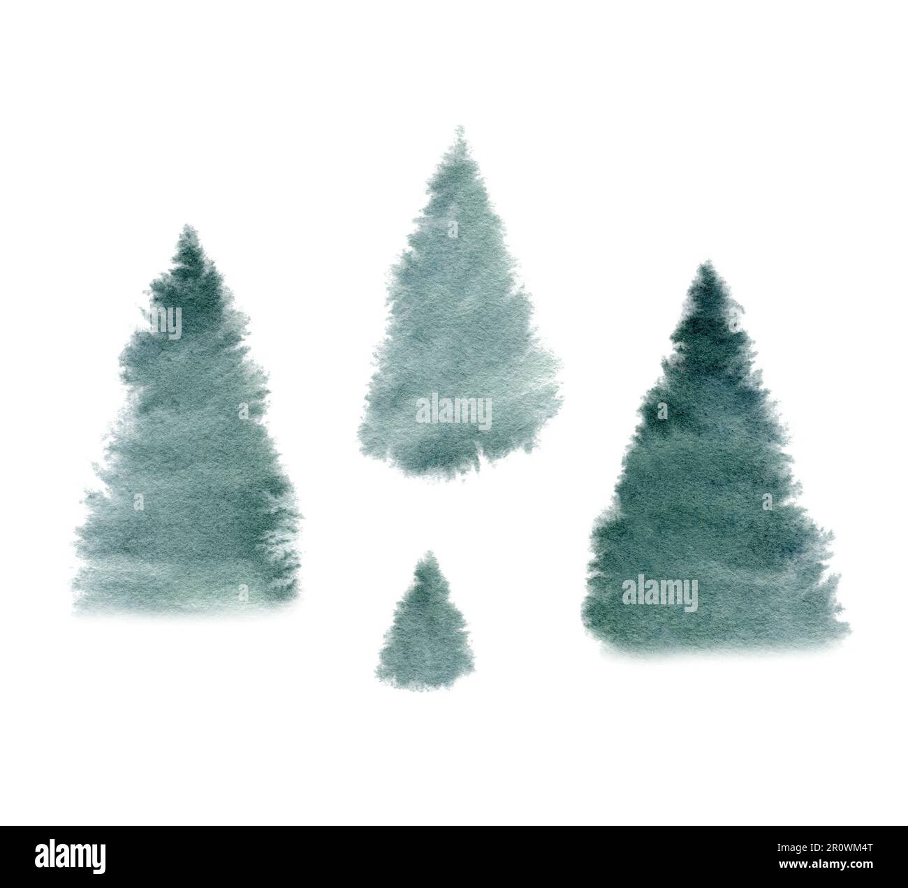 Set of abstract spruce. Forest template, Winter foggy woodland ...
