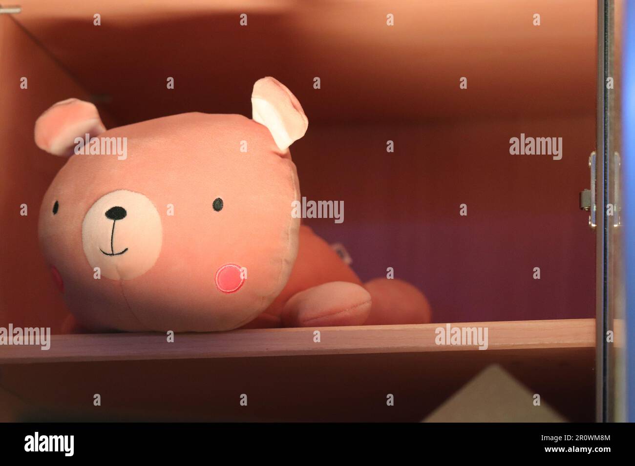 A Plush Teddy Bear Sitting Adorably on a Shelf Stock Photo - Alamy