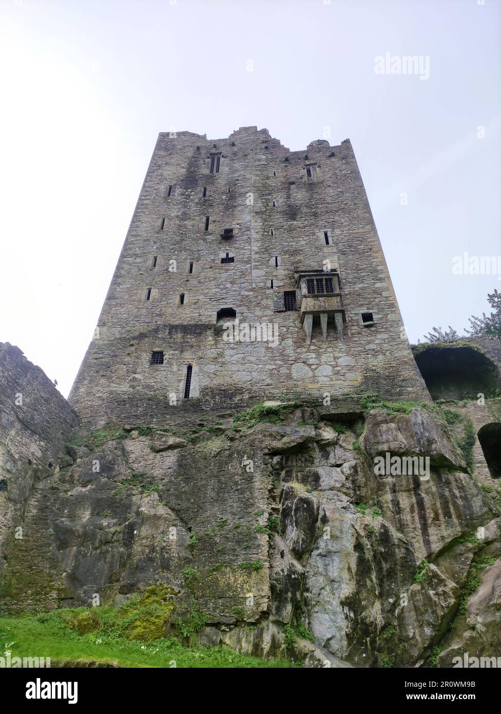 Old celtic house wall, Blarney castle in Ireland, old ancient celtic ...