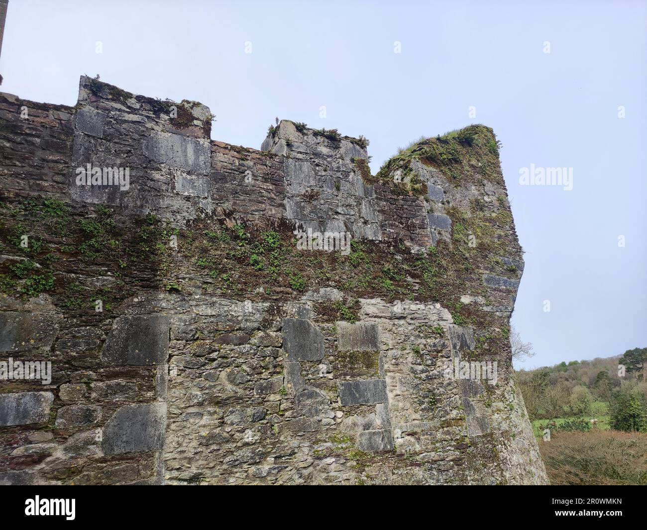 Fortress wall, Blarney castle in Ireland, old ancient celtic fortress ...