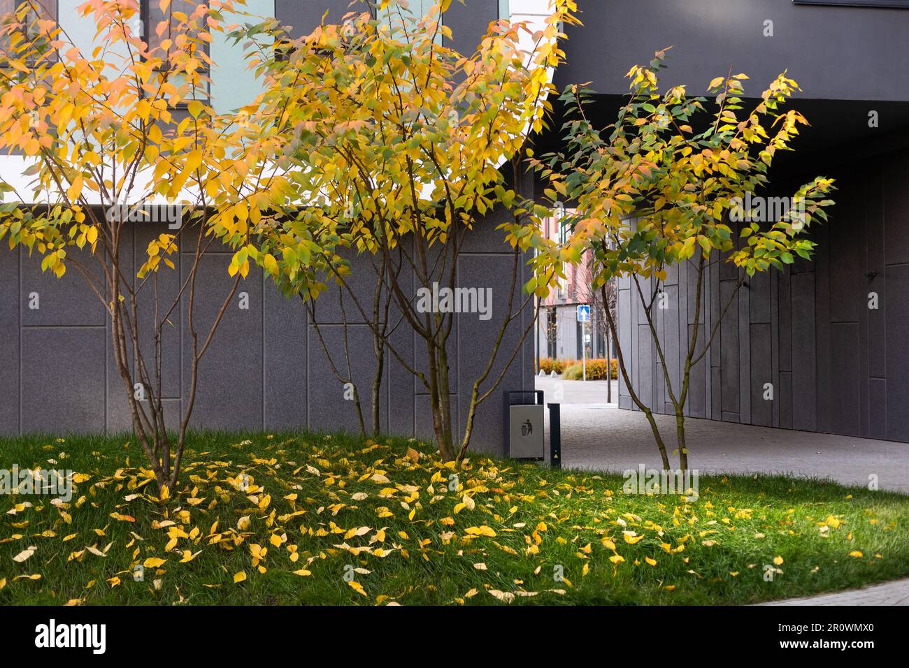 Yellow, orange and red autumn leaves in beautiful fall park Stock Photo ...