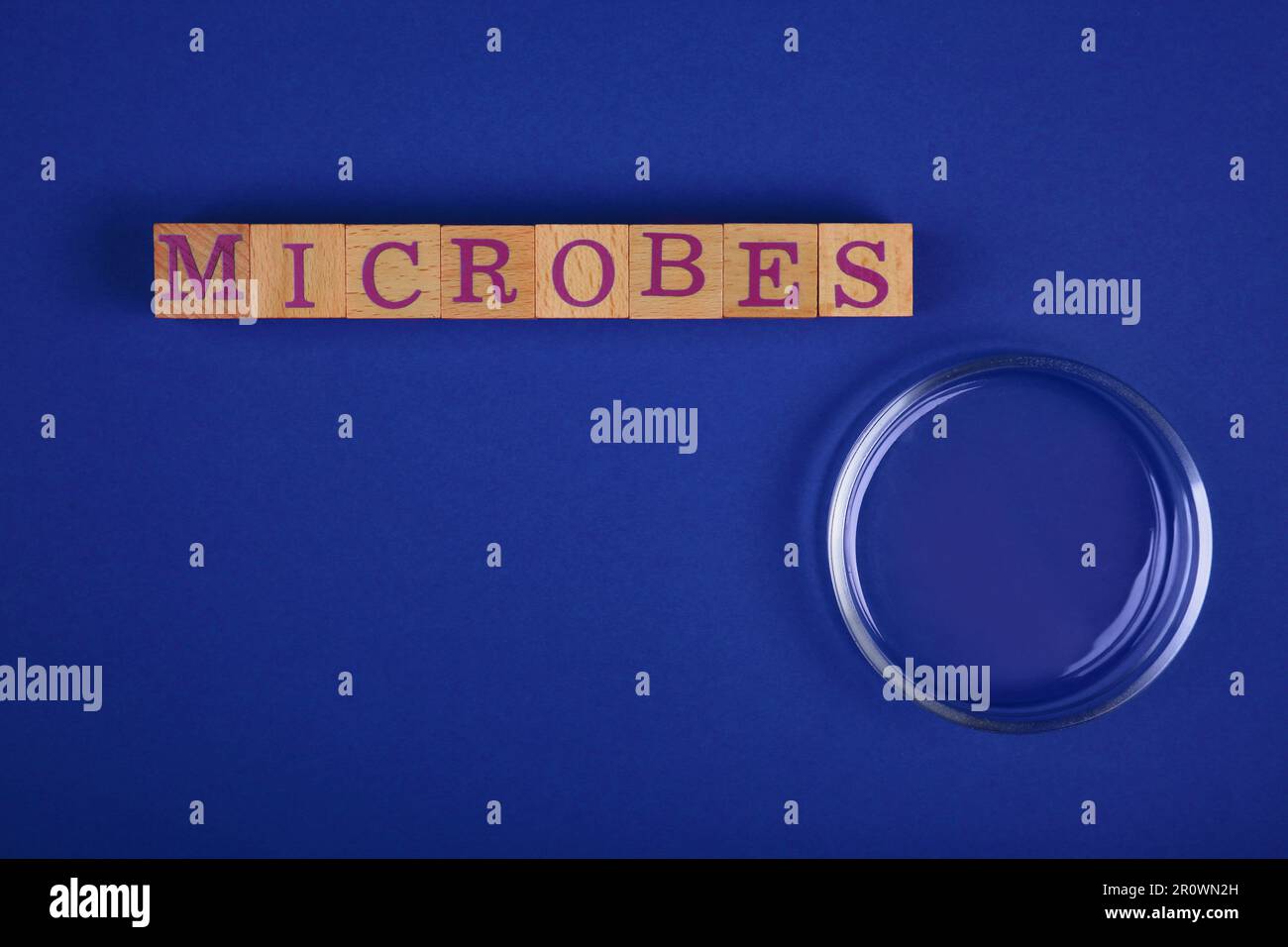 Word Microbes made with wooden cubes and magnifying glass on blue ...