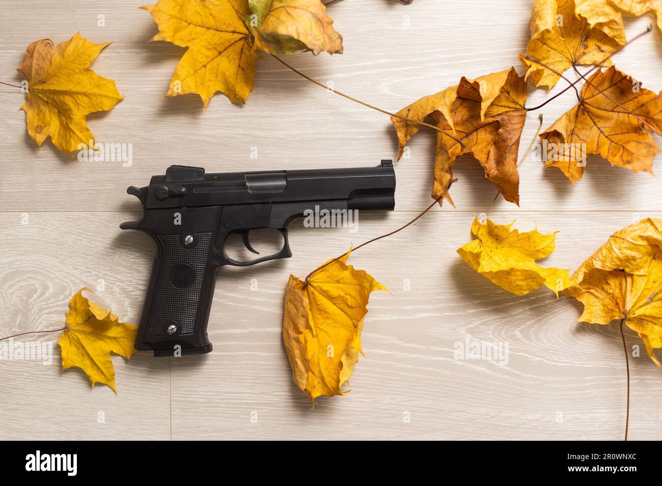 dry autumn leaves and gun Stock Photo - Alamy
