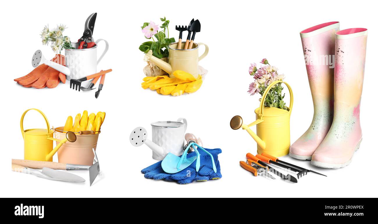 Set with watering cans and different gardening tools on white ...