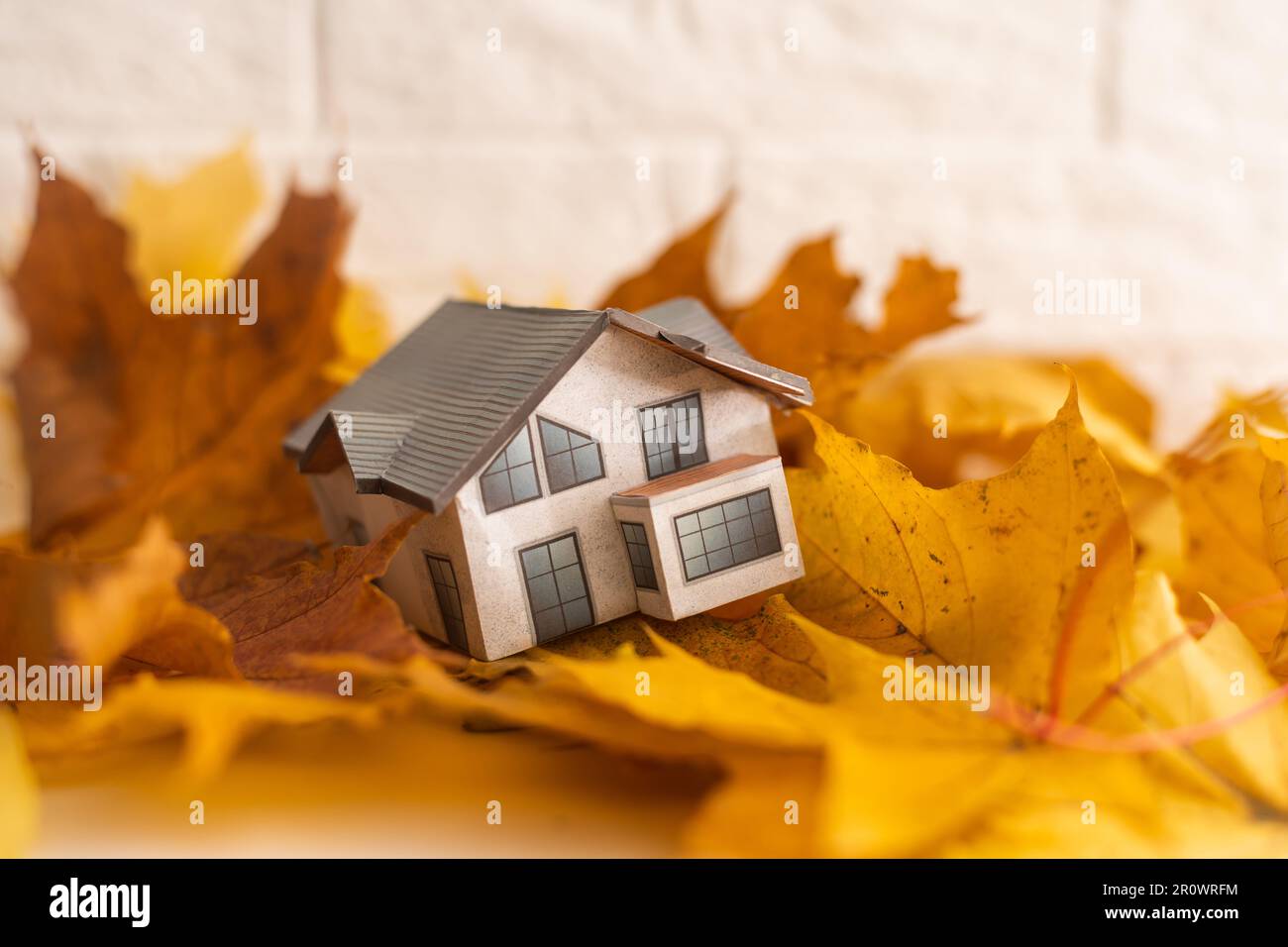 House from paper in bright yellow autumn leaves. Model of cardboard ...