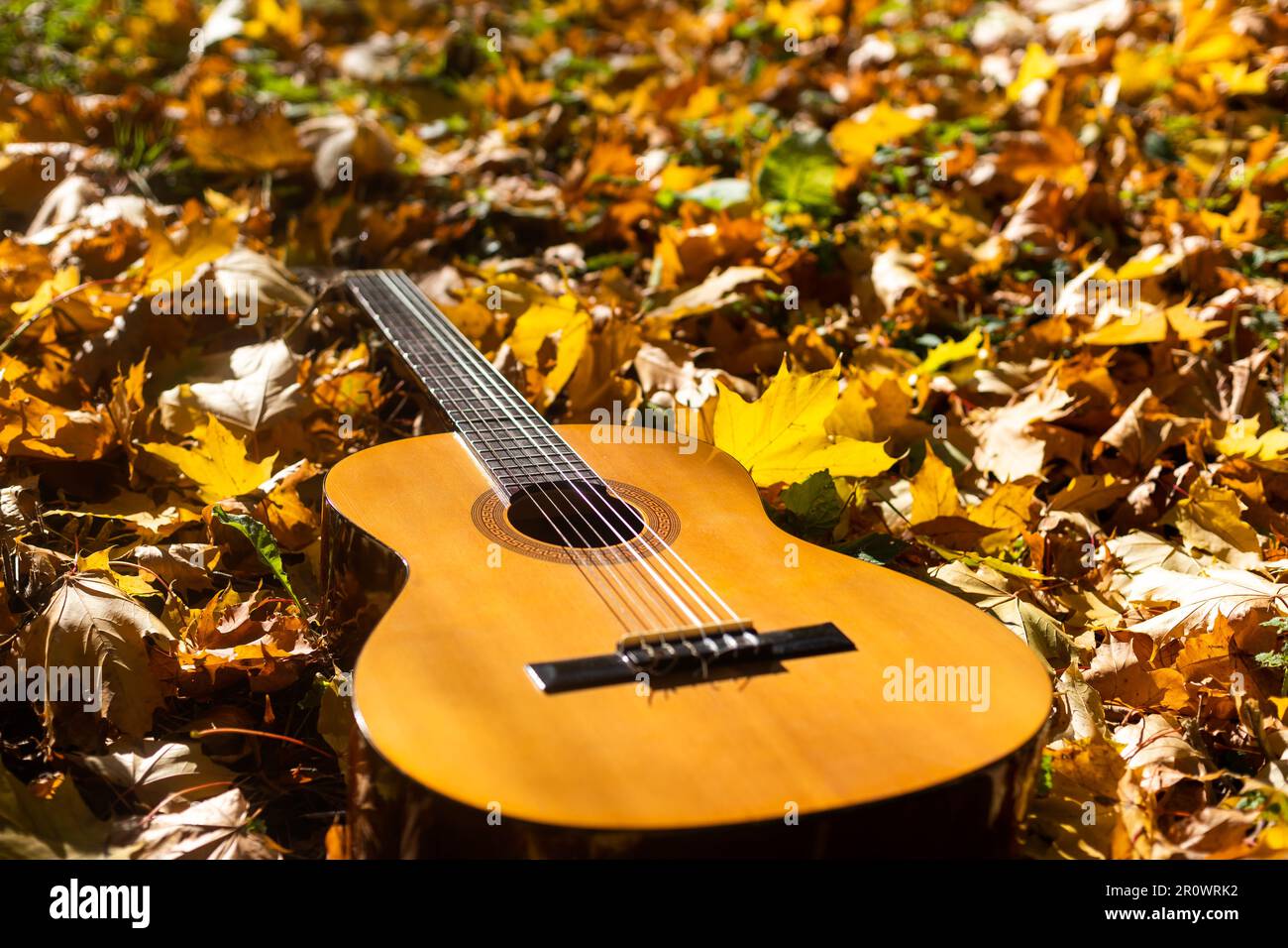 Guitar and autumn leaves background Stock Photo - Alamy