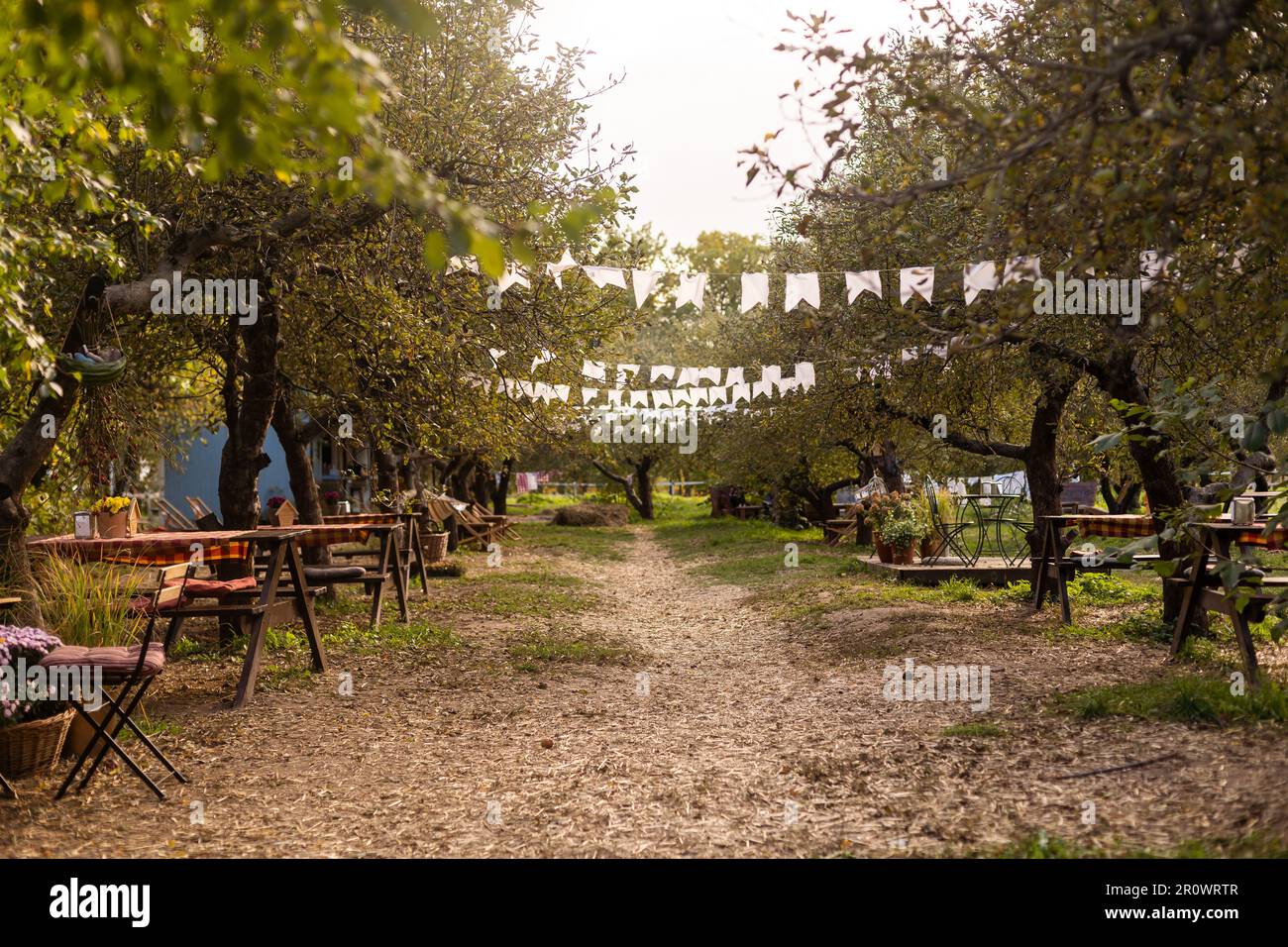 Diverging, road, sun hi-res stock photography and images - Alamy