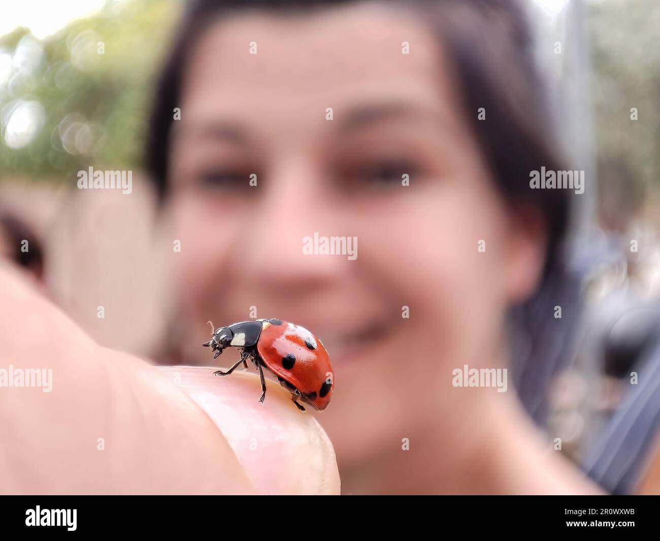 Middle aged woman looking at a love bug on a man's hand smiling Stock ...