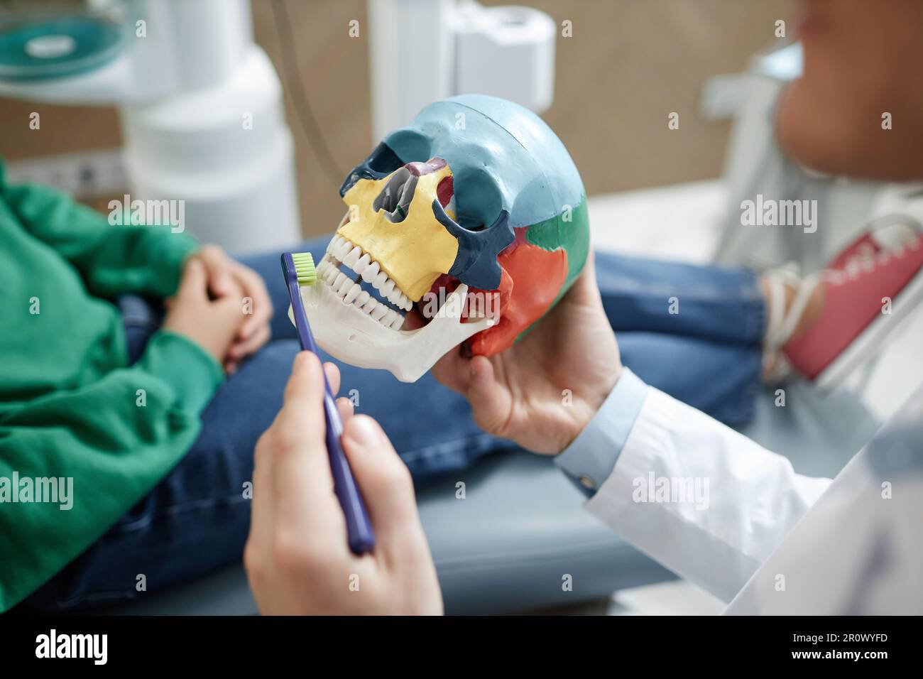 Closeup of male dentist holding model and demonstrating tooth brushing ...