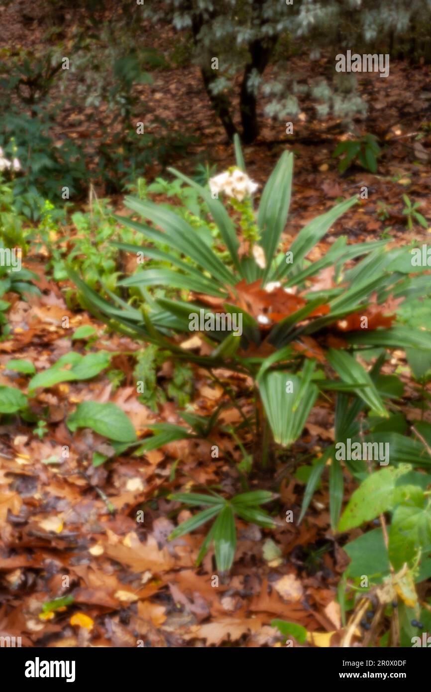 Pinhole collection hi-res stock photography and images - Alamy