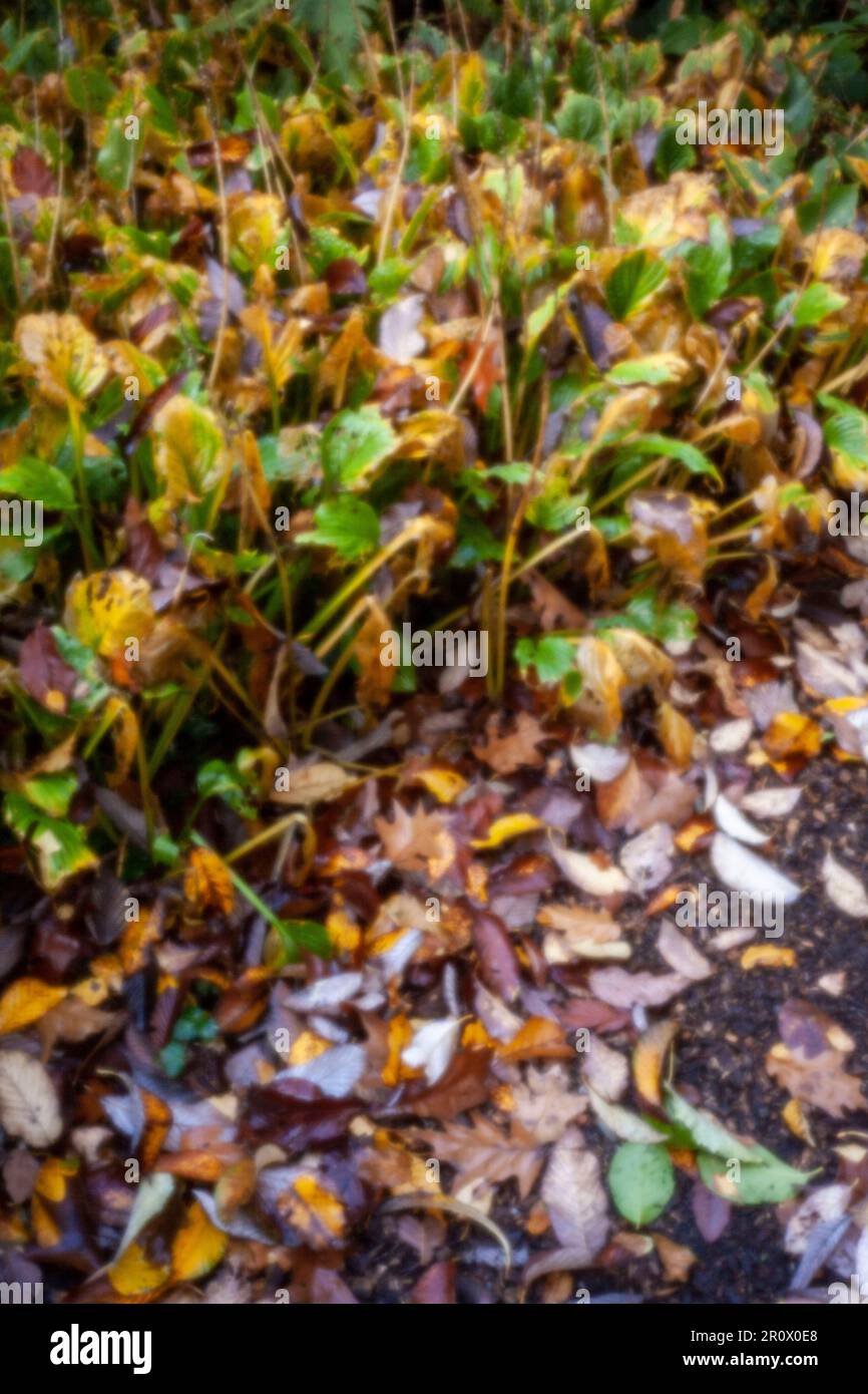 Collection features high resolution hi-res stock photography and images ...