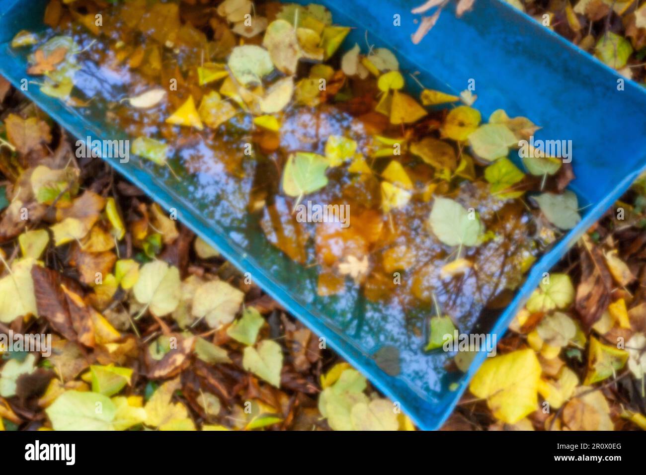 Pinhole collection image hi-res stock photography and images - Alamy