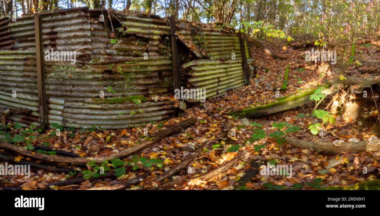 Pinhole Photography Woodland Series.New, Age-defying, digital age ...