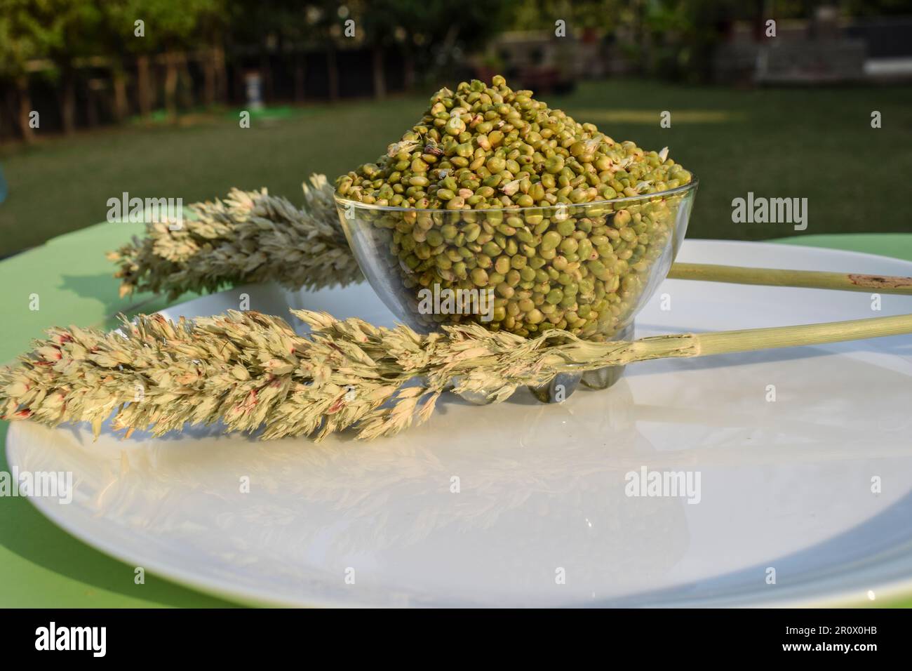 Ponkh millets hi-res stock photography and images - Alamy