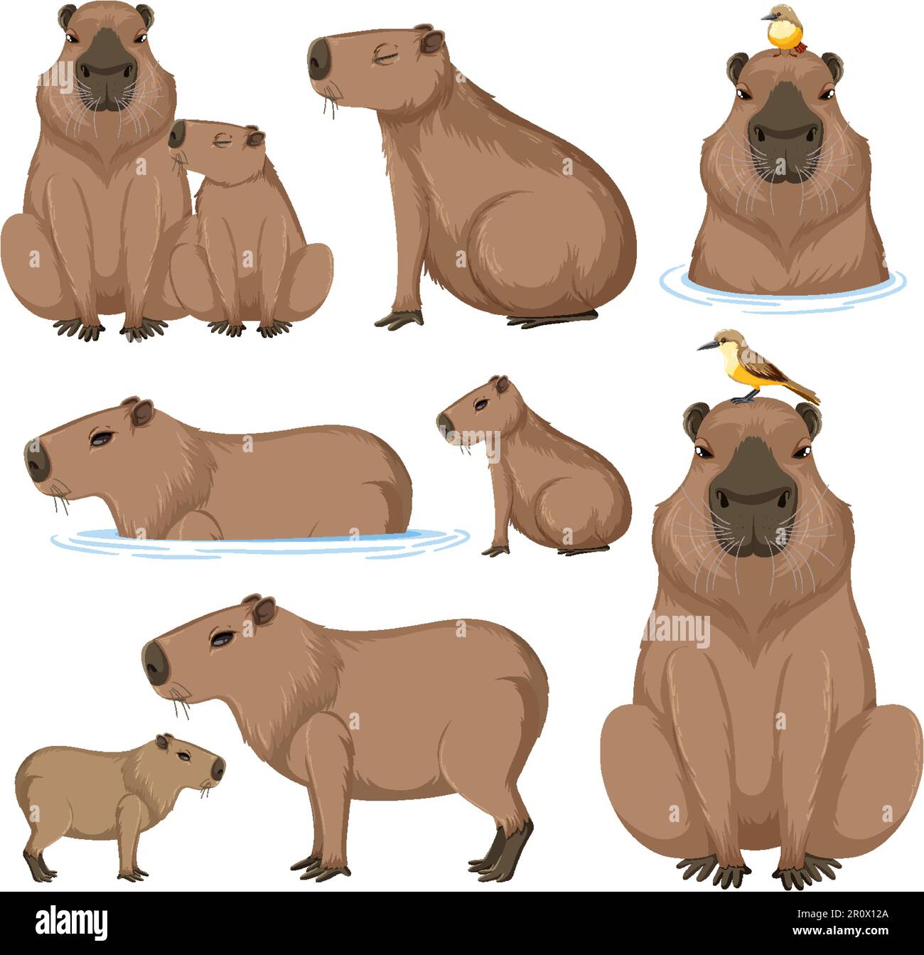 Cute Cartoon Capybara Collection illustration Stock Vector Image & Art - Alamy