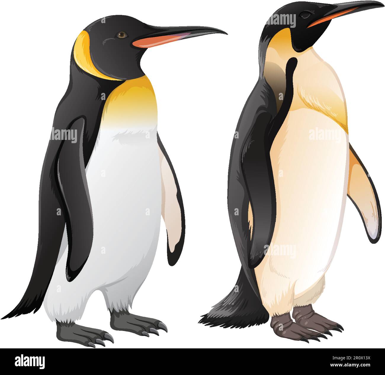Set of penguins in different species illustration Stock Vector Image ...