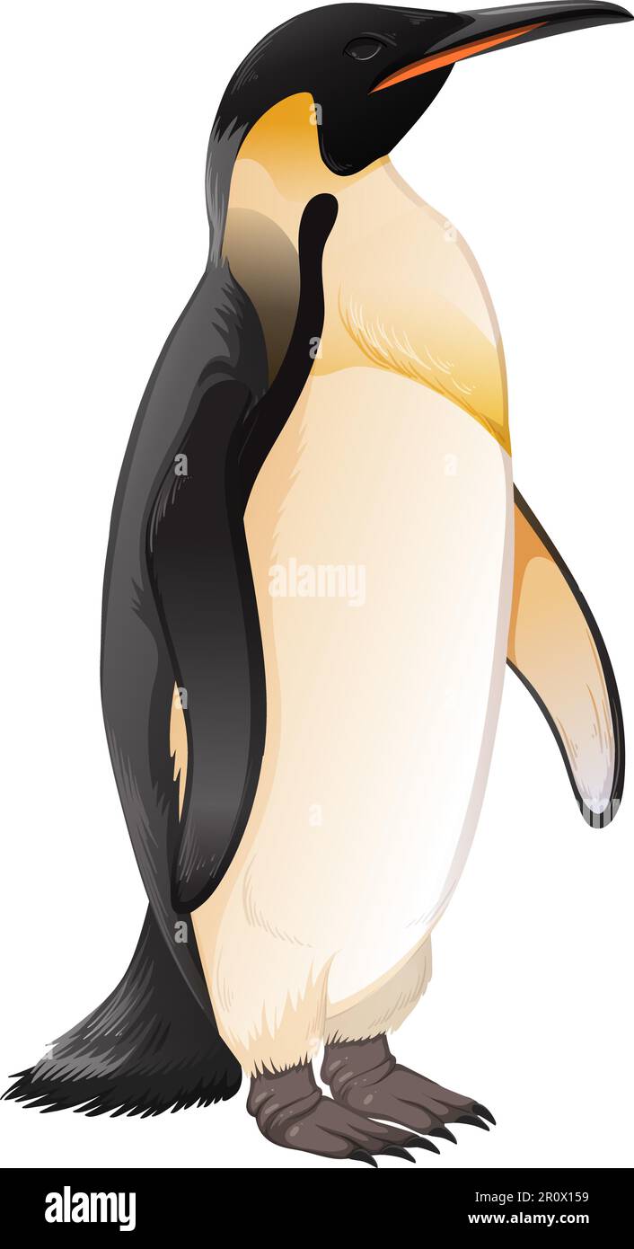 Emperor Penguin on White Background illustration Stock Vector Image ...