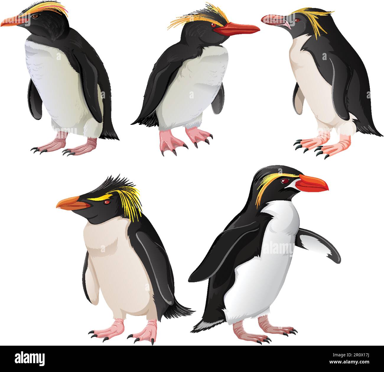 Set of penguins in different species illustration Stock Vector Image ...