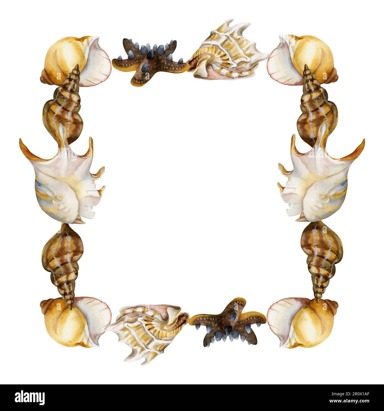 Hand drawn watercolor spiral pearl, brown and gold sea shells and ...